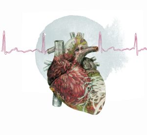 Birgit Lang Illustration - Focus - Kolumne Ulrike Koock - Vorhofflimmern